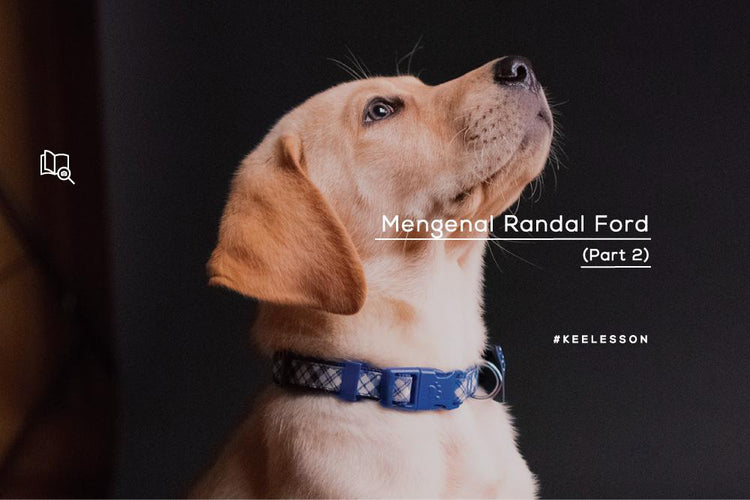 Mengenal Randal Ford (Part 2) – KEE INDONESIA